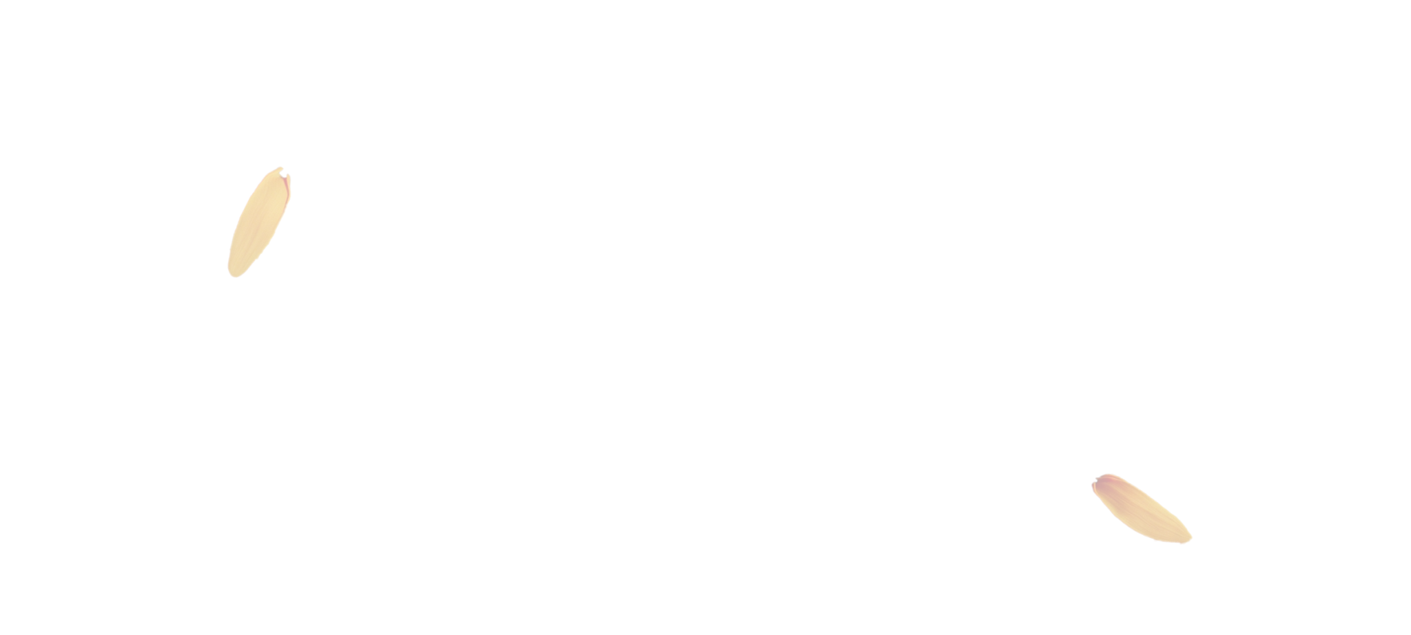 Teka Van Gogh Museum Edition | Teka Global